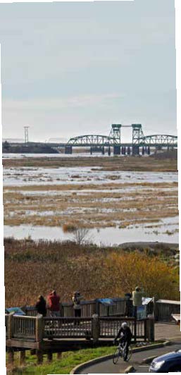Where Fresh Meets Saltwater: Tidal Marshes – Oregon Coast Magazine