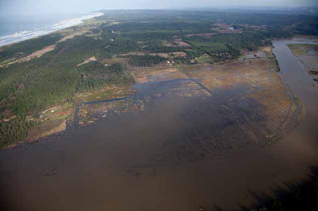Where Fresh Meets Saltwater: Tidal Marshes – Oregon Coast Magazine
