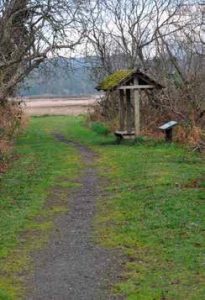 Where Fresh Meets Saltwater: Tidal Marshes – Oregon Coast Magazine