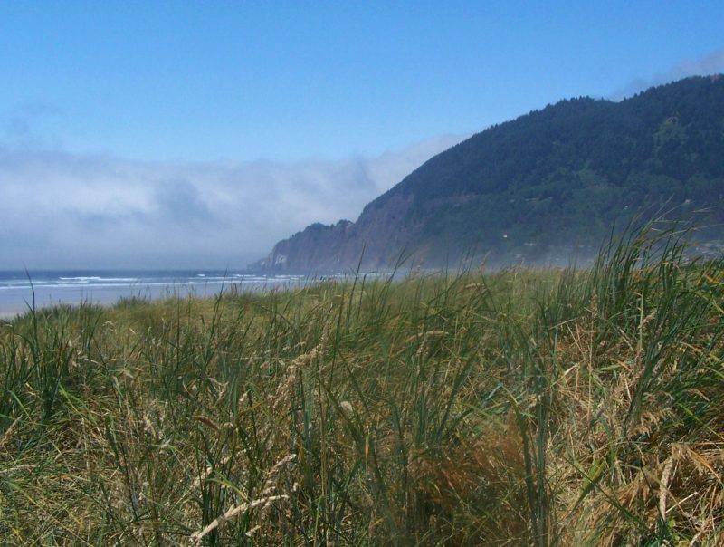 Ship of Mystery – Oregon Coast Magazine