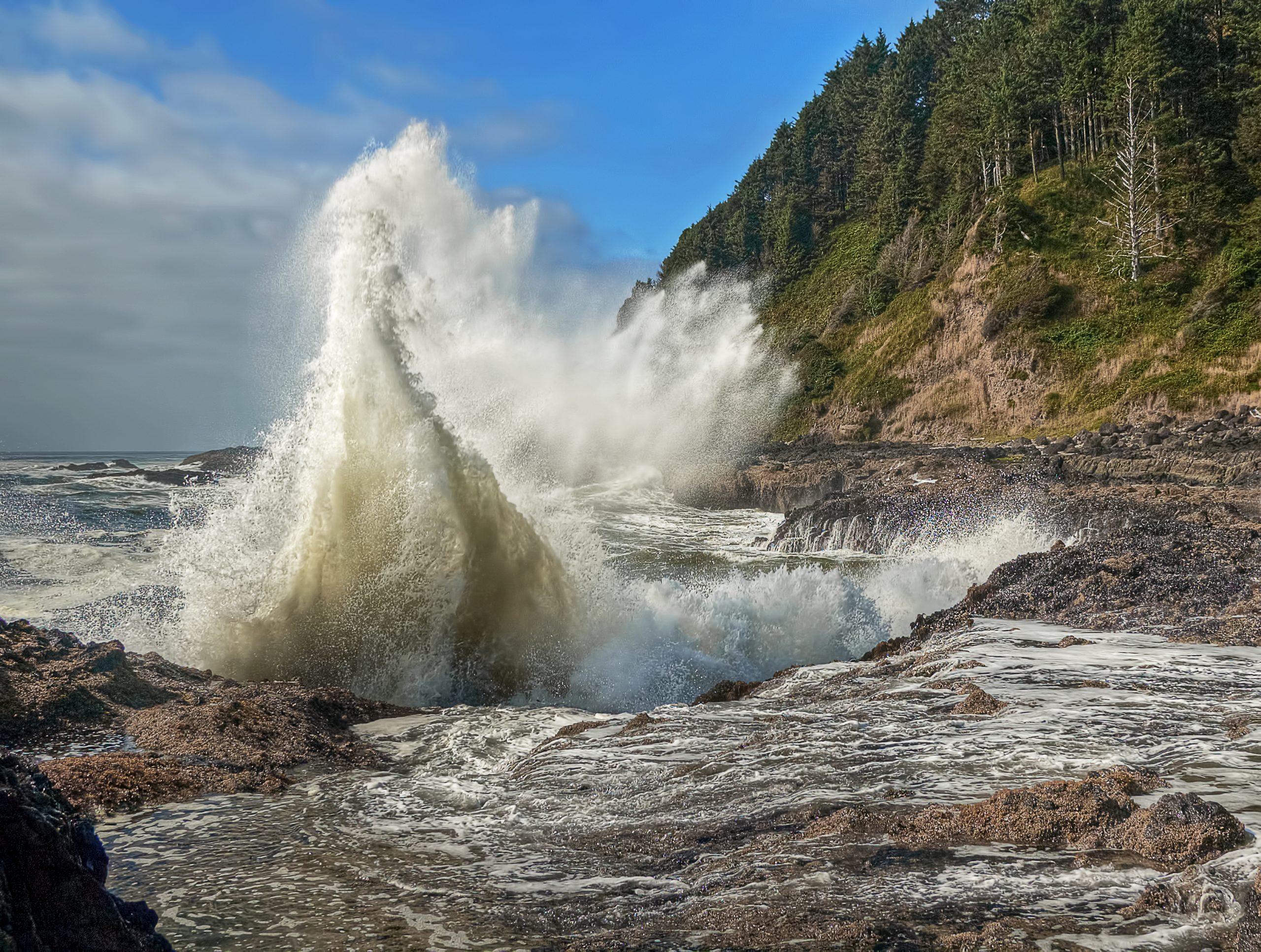 16 Incredible Parks – Oregon Coast Magazine