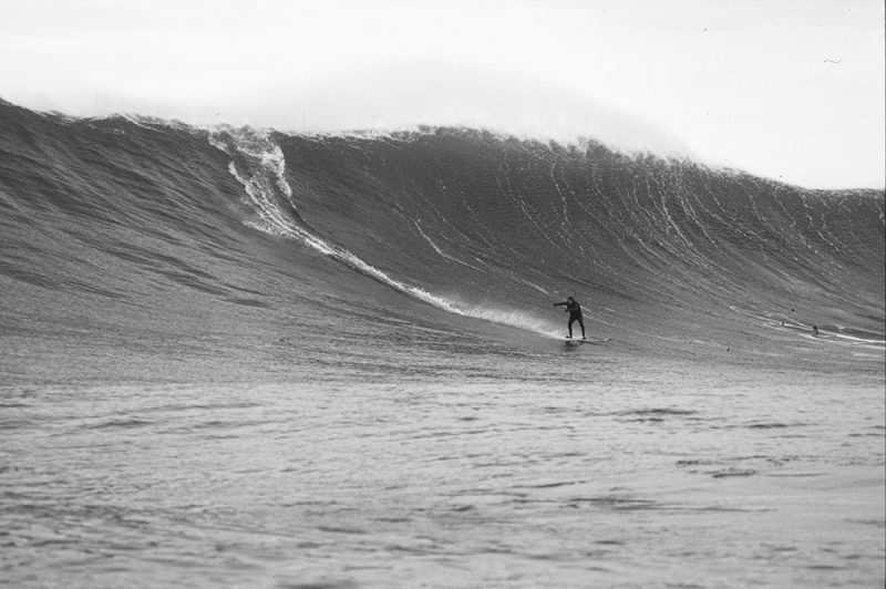 When Sharks And Surfers Collide – Oregon Coast Magazine