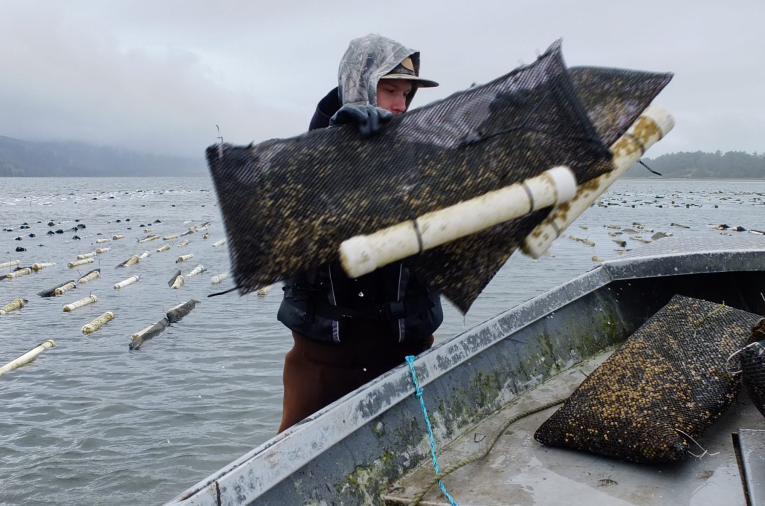 Oregon’s Oystermen – Oregon Coast Magazine