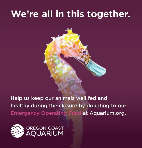 Donate to the Oregon Coast Aquarium – Oregon Coast Magazine
