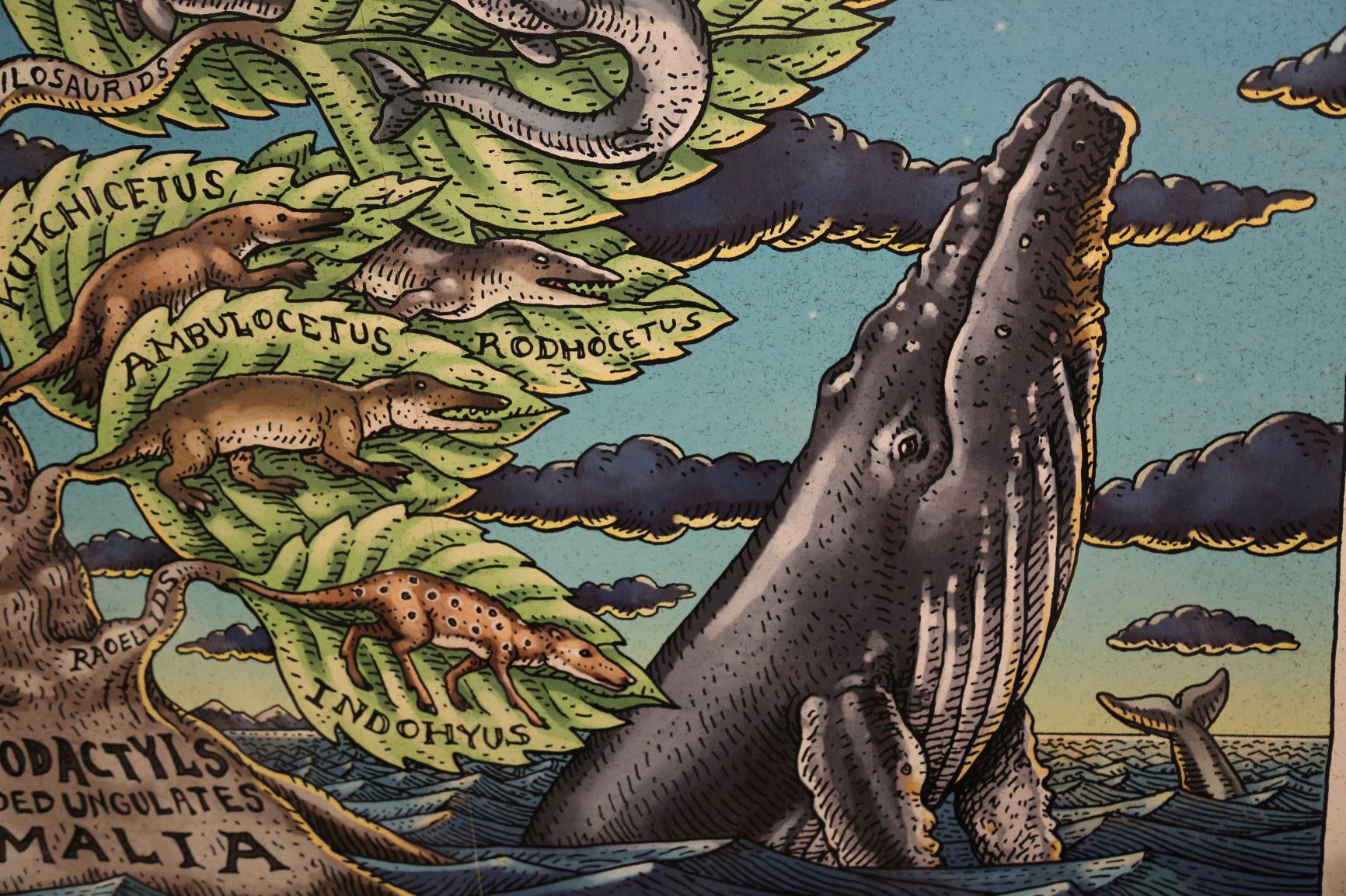 Stories of Ancient Creatures at Aquarium – Oregon Coast Magazine