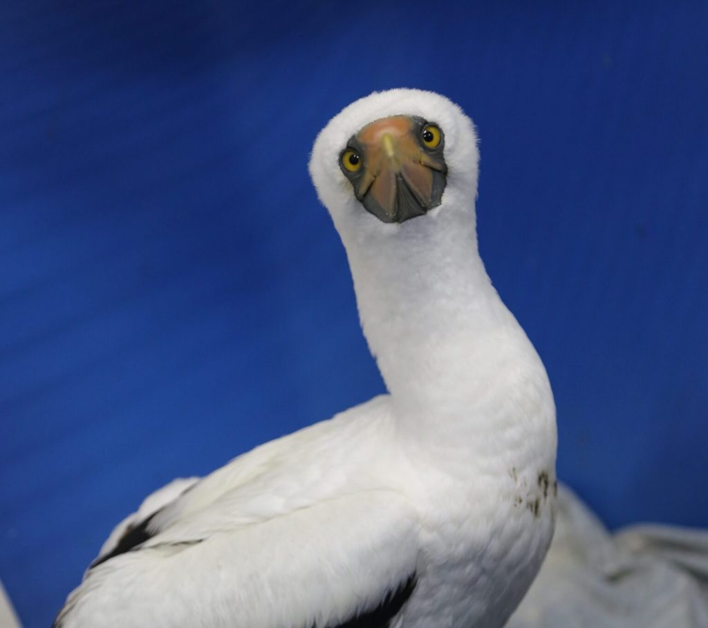 Oregon Coast Magazine – Magazine