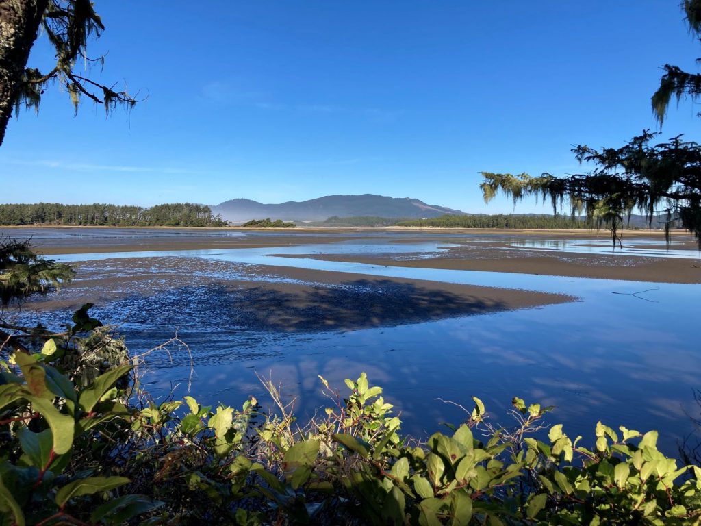 Visiting Oregon’s Coastal Wetlands – Oregon Coast Magazine