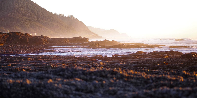 Oregon Coast Magazine – Magazine