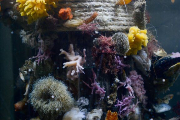 Oregon Coast Magazine – Magazine