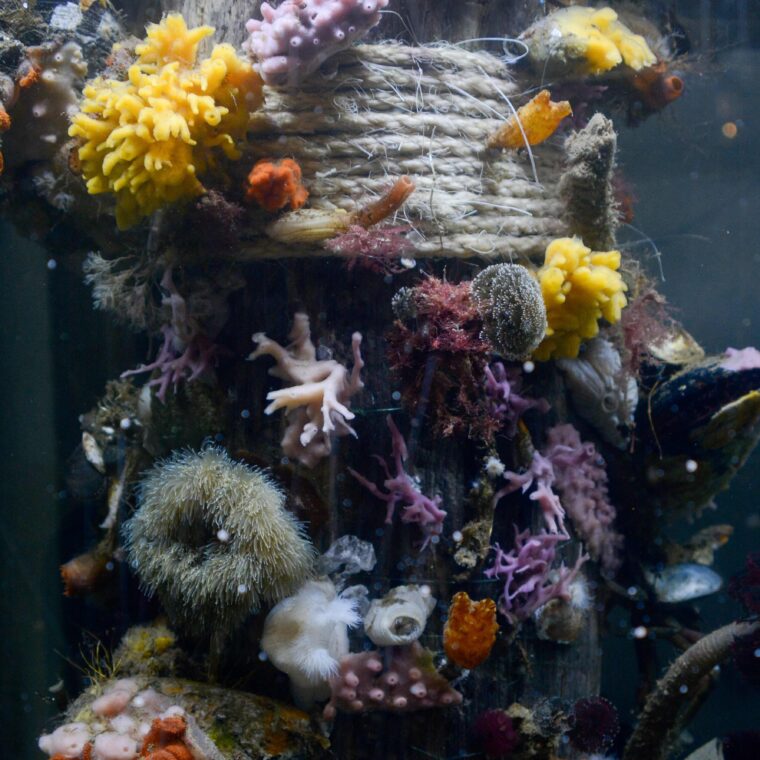 Oregon Coast Magazine – Magazine