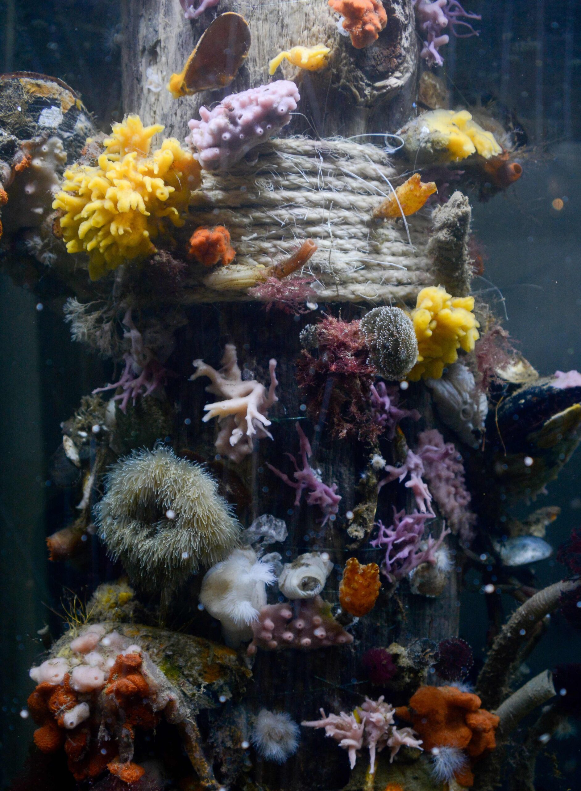 Oregon Coast Magazine – Magazine