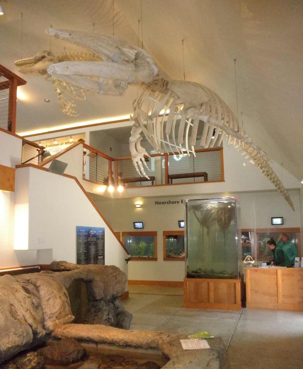 Stories from the Sea – Oregon Coast Magazine